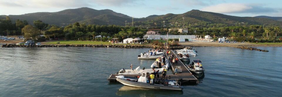 Homepage of scuba diving - immersioni Elba Pianosa Capraia, corsi sub
